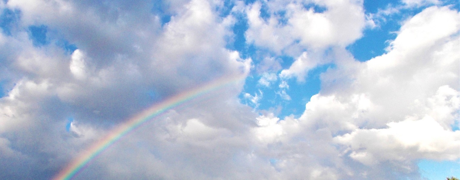 Житейские радости.