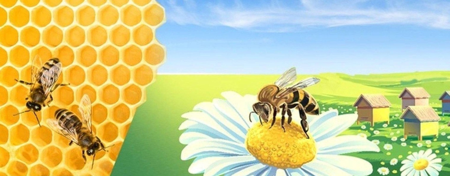 александр качалов