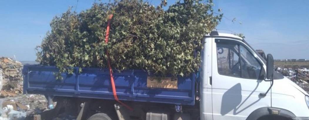 Сидельников Виктор