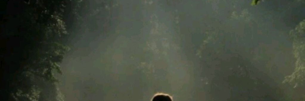 ℰ𝓁𝒾𝓏𝒶𝓋ℯ𝓉𝒶✓