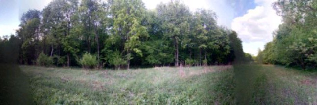 Сплочение Народа Российского