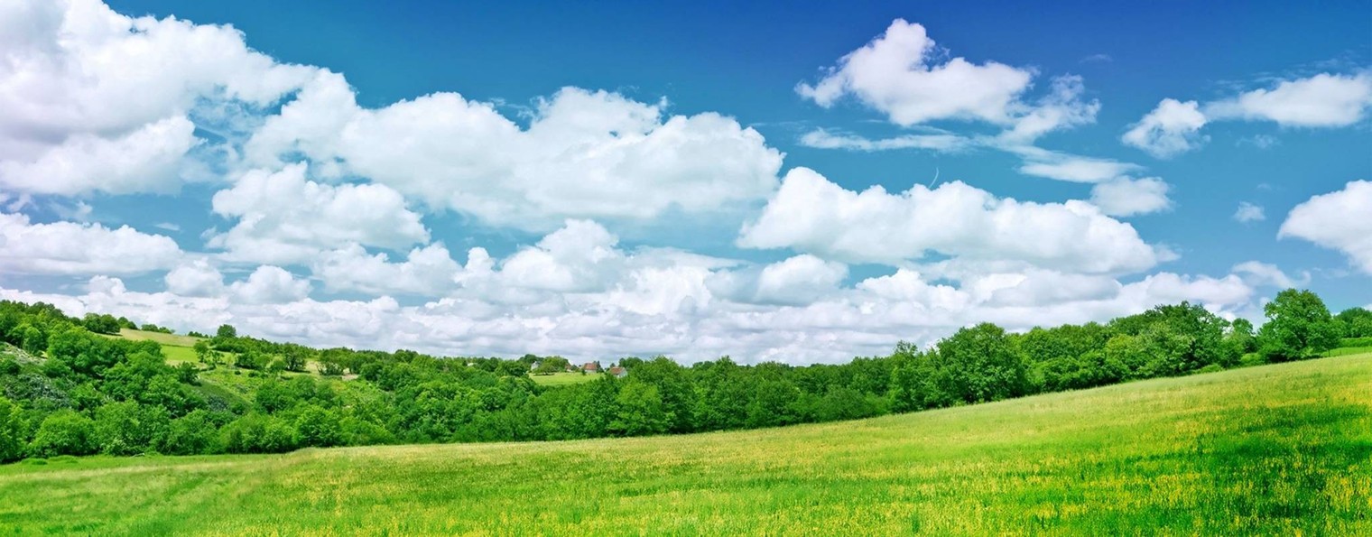 Костя Герасимов