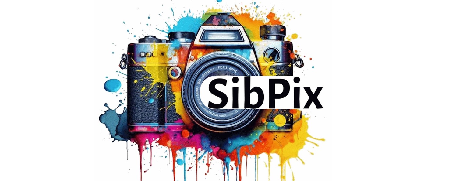 SibPIX