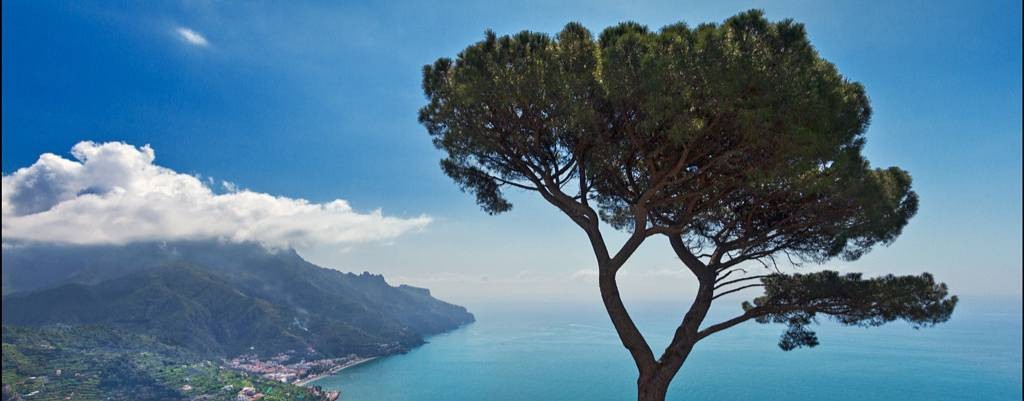 Итальянский язык и не только