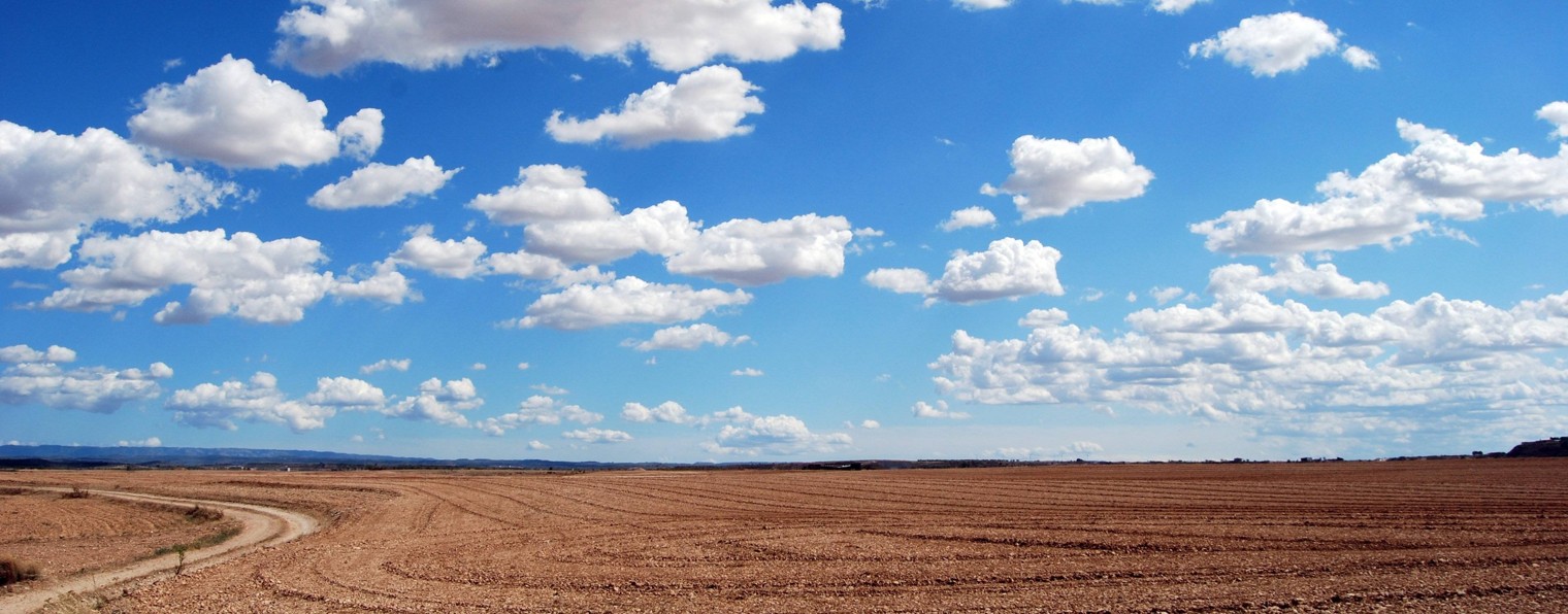 Дом,квадро и коп: Записки гуманитария