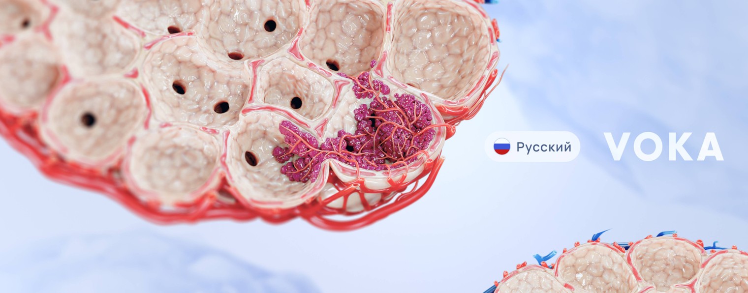 VOKA 3D Anatomy & Pathology | Rus