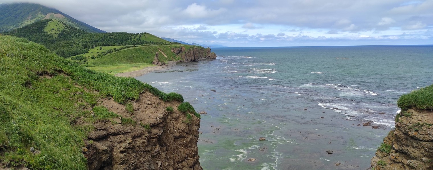 Шамраева В.В.