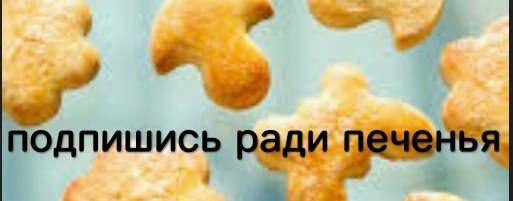 Дима104k[❤️🩹]