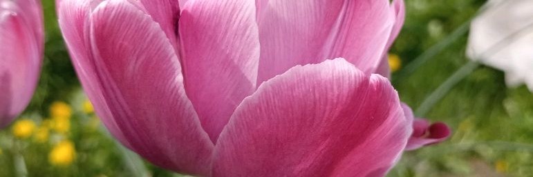 Начинаю с нуля