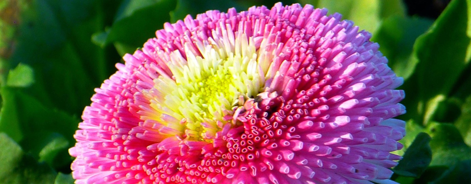 МАДОУ д/с № 25 "Сказка" г.Ишимбай РБ