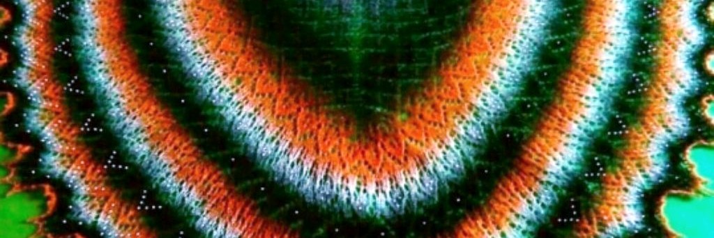 Тепло в каждой петельке.