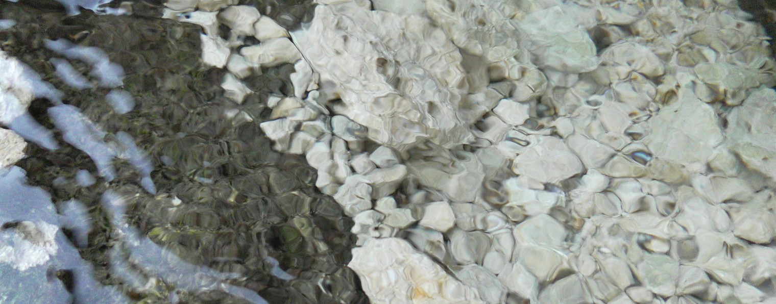 РОДНИЧОК eternity