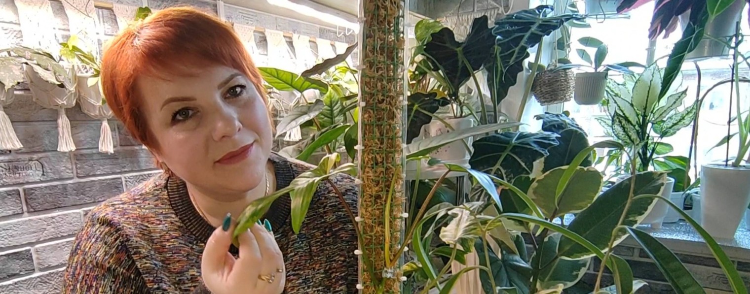 Анюта Цветочная