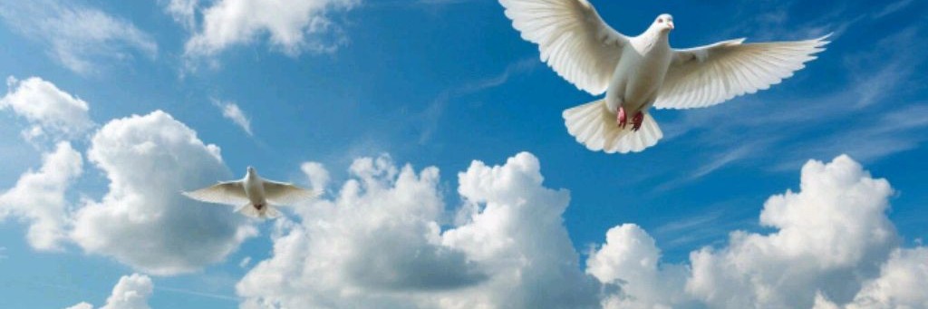 Просто обо всём