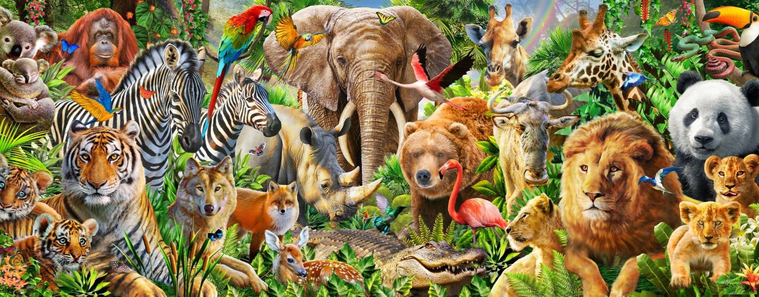 Забавные животные