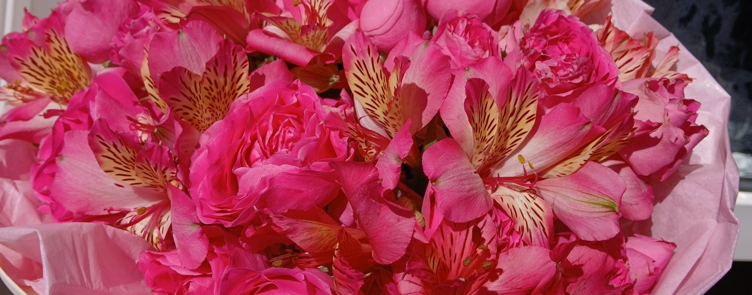 Самые популярные видева