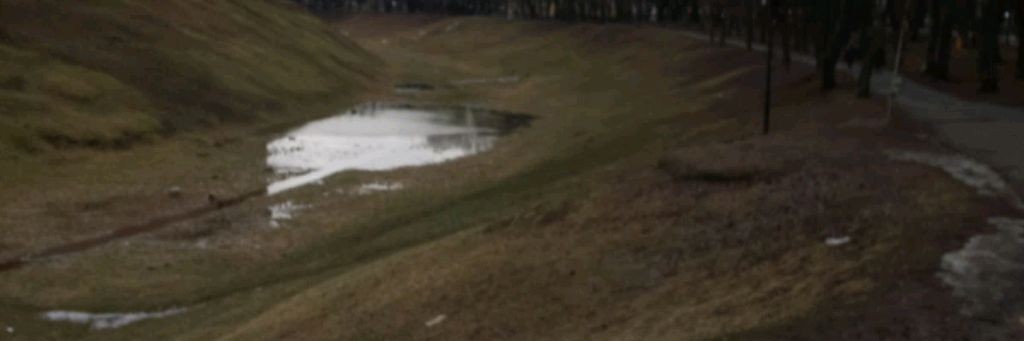 Михаил Захаров