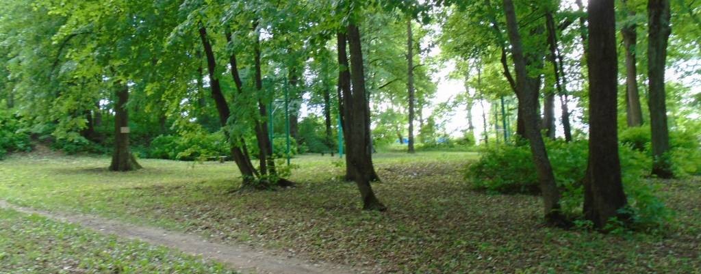 ОБЛЕЧЁННЫЕ БЛАГОДАТЬЮ