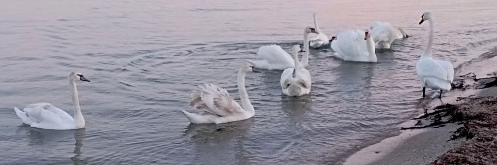 Жизнь на ладони. .