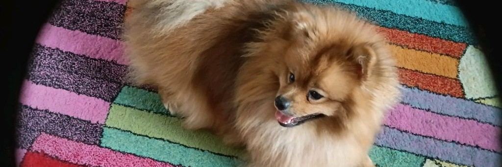 Маленькое солнышко 🌞