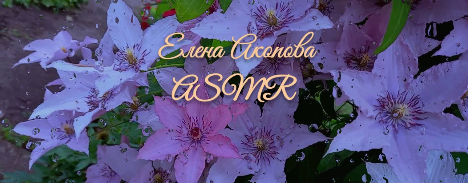 Елена Акопова