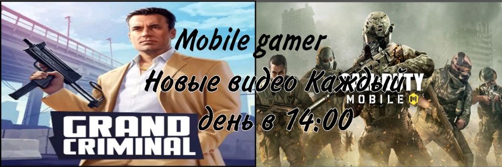 Mobile gamer