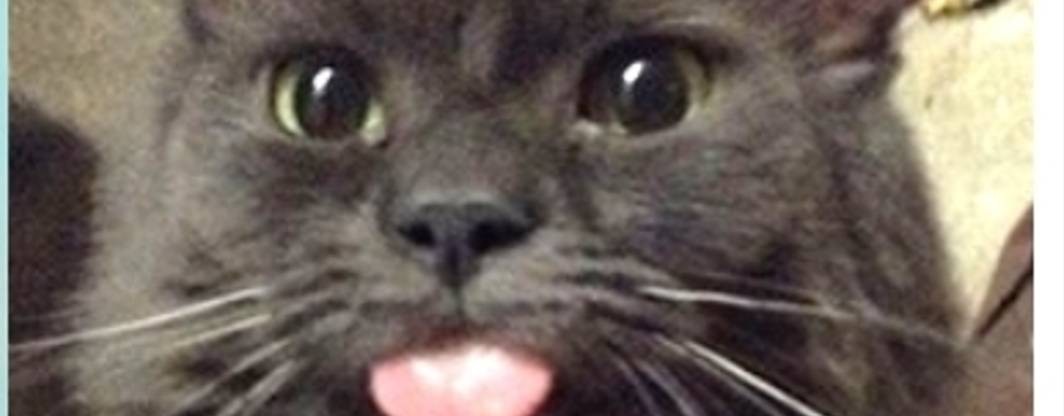 Сашуличка  ❤ Love