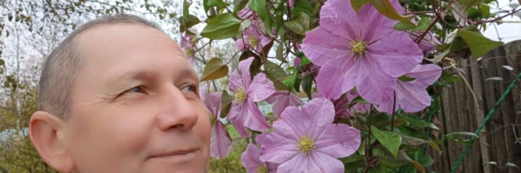 Питомник Клематисов Лиана33