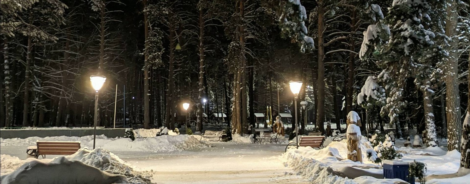 Владимир Комаров