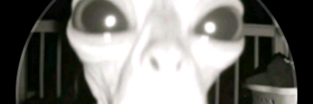 Redemins Теггинг