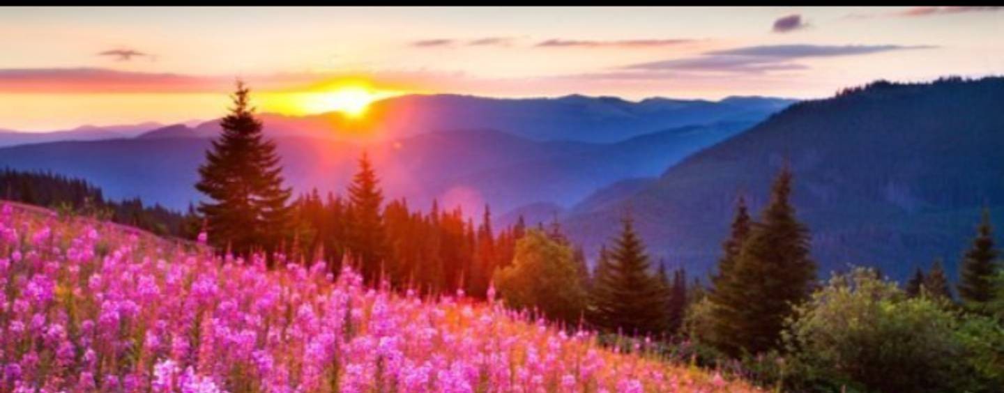 Маша-марибель