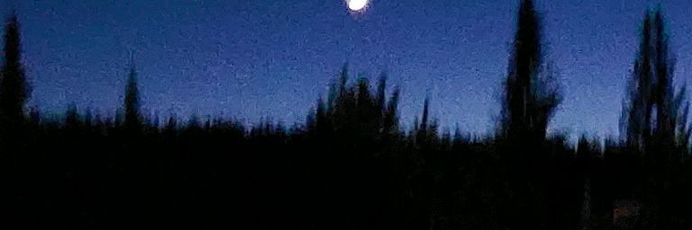 Жизнь Замечательных Людей