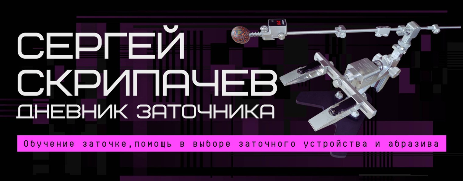 Сергей Скрипачев / Дневник Заточника
