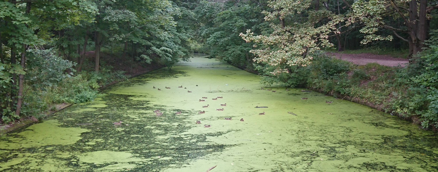 Столица и деревня - будни пенсионера