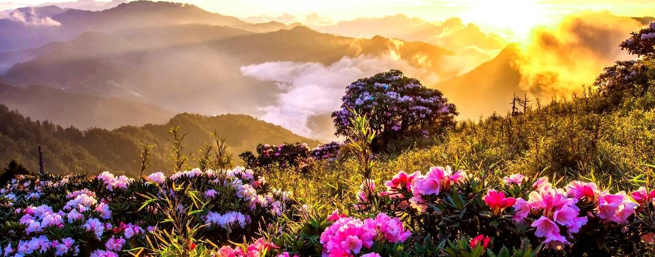 Татьяна Лялина | Psy_Mental