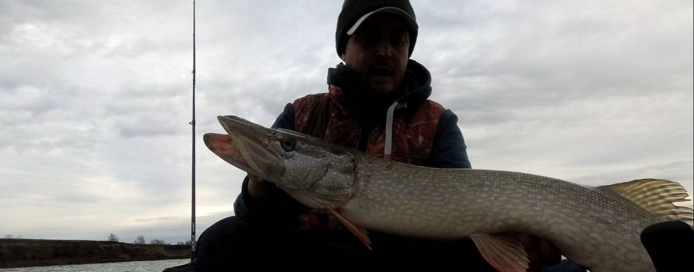 Охотник на щуку