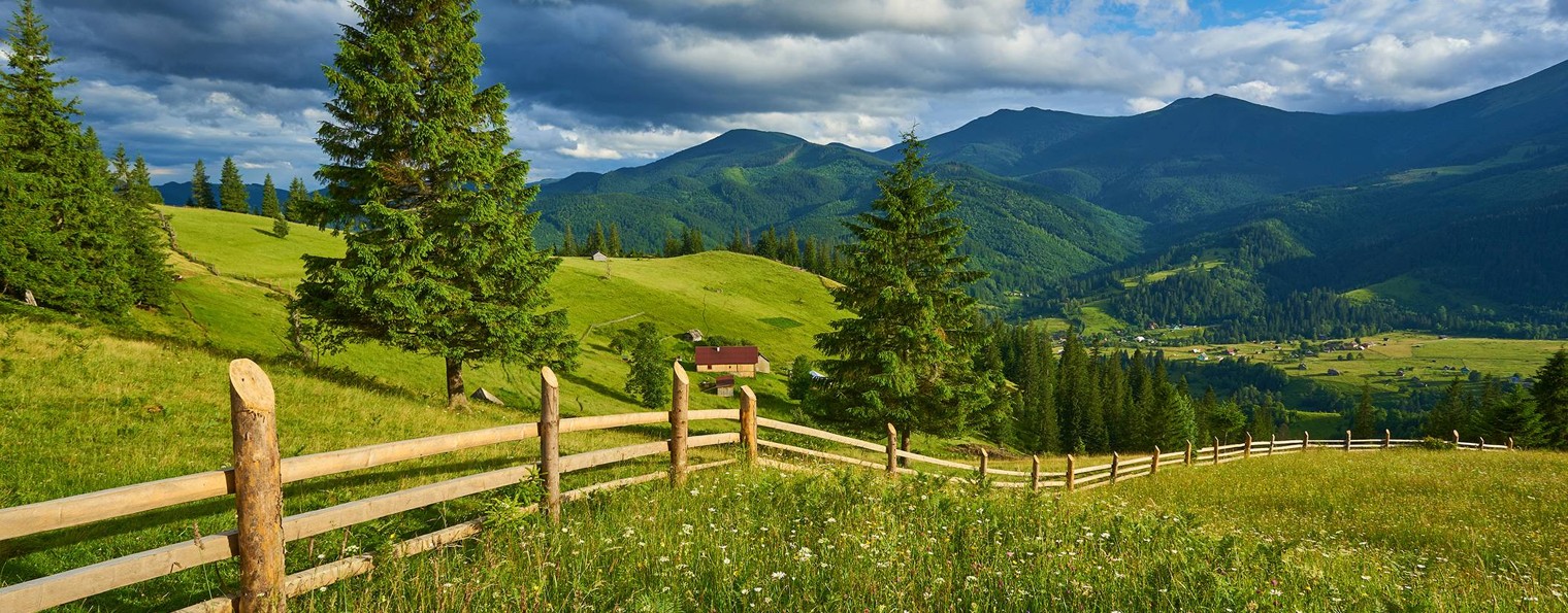 землянка22века