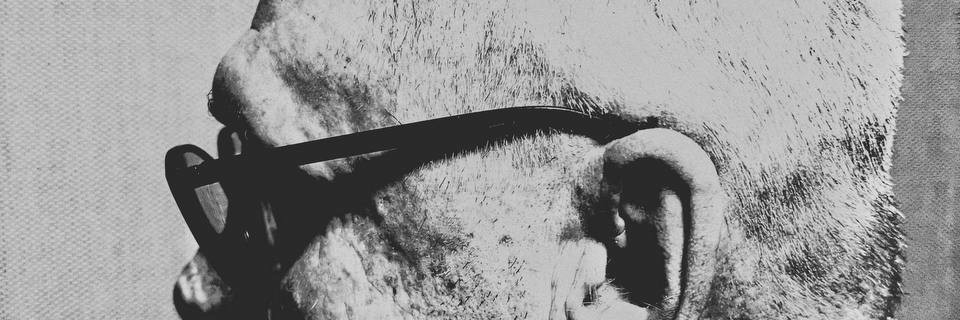 SEVA-texstoplet