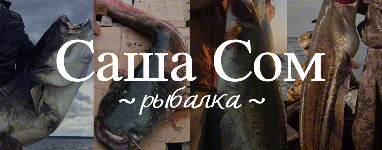 Саша Сом | Речные гиганты | Рыбалка