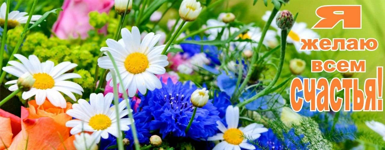 СВЕТЛЯЧОК ***