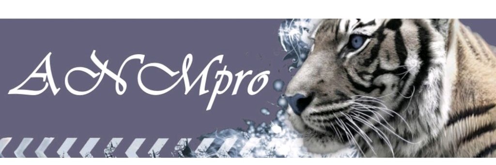 Алексей Малютин (АНМПРО)