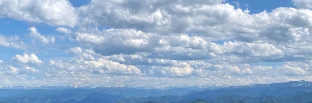 Кошка Маргошка и её хозяйка Аврора