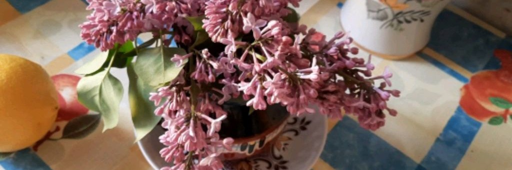 Марина Сербина