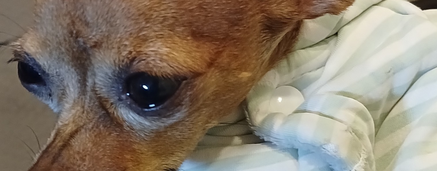 Просто Мася