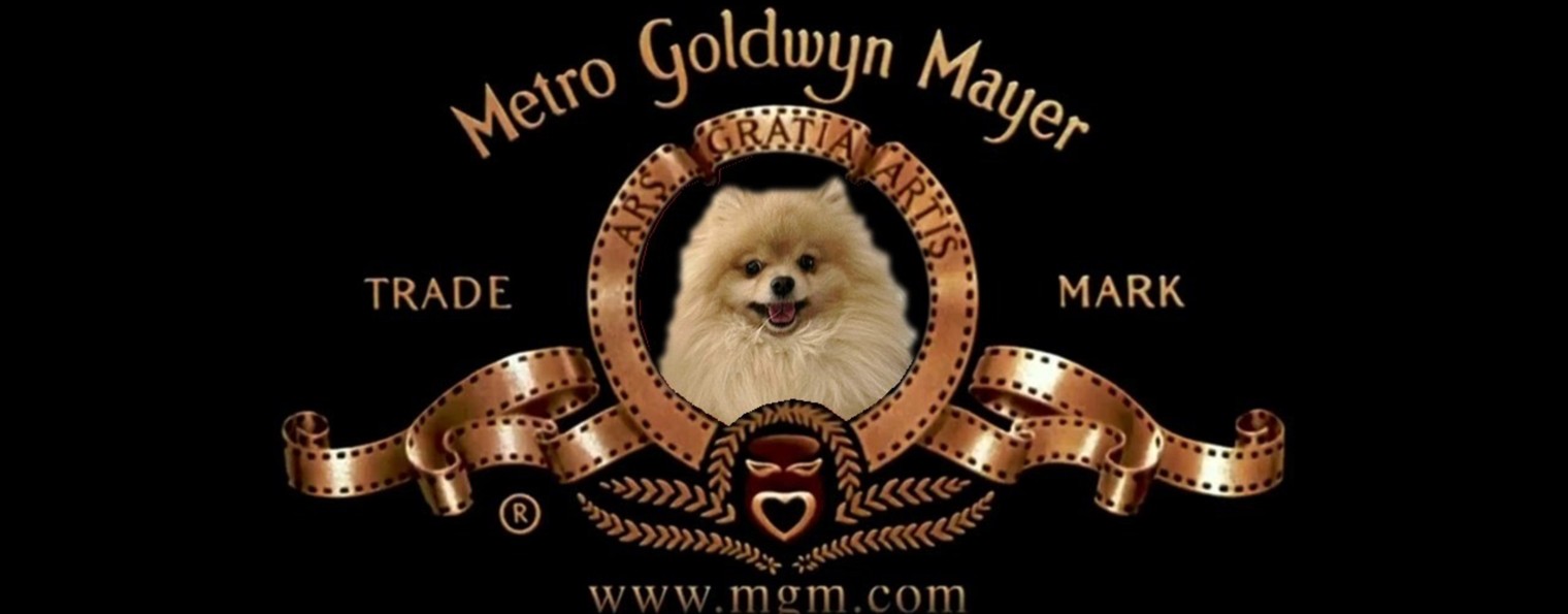 Pleshchev