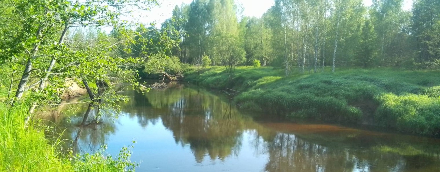 Рыбацкая Мечта