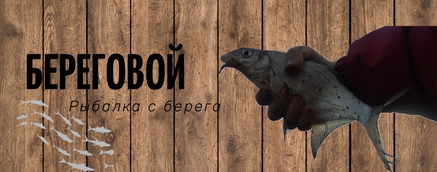 Береговой | Рыбалка с берега