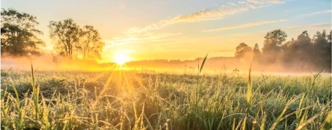 Валерий Федорин