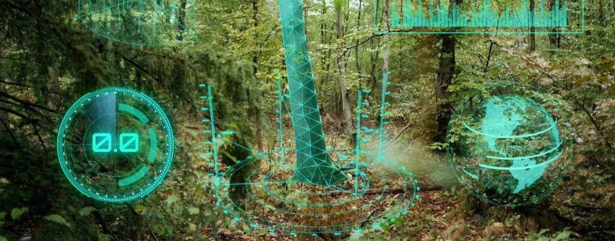 forest_digital