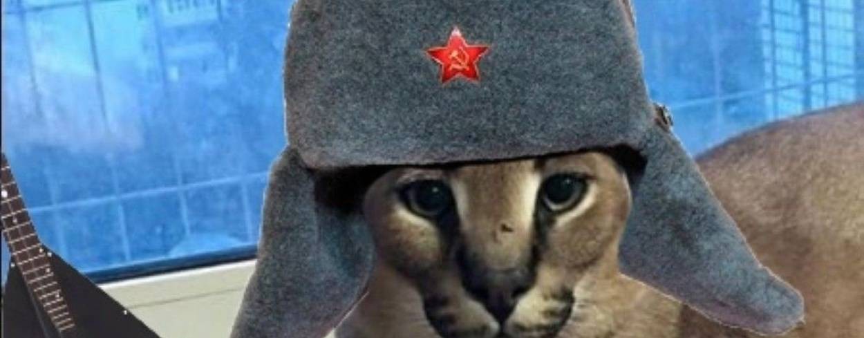 ДимонТВ